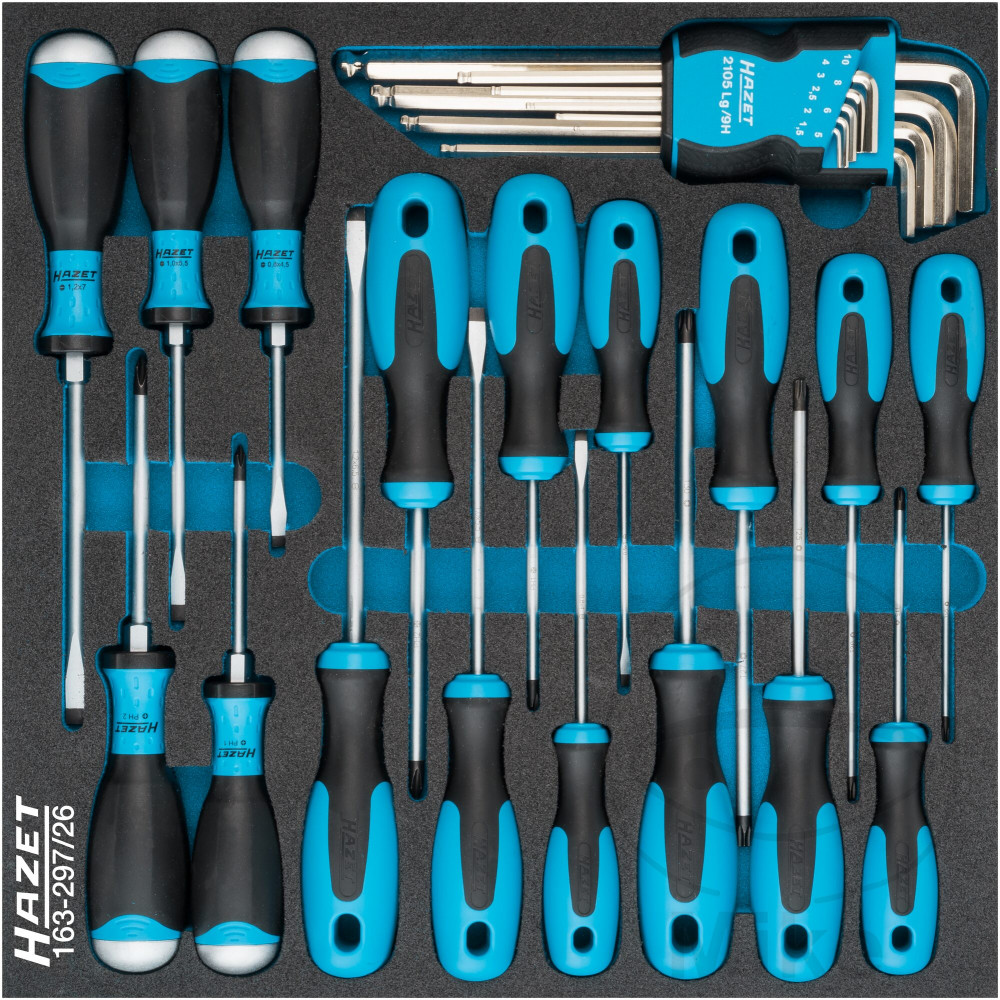 HAZET Kit de 26 outils avec insert pour chariot à outils 4000896186242 | eBay